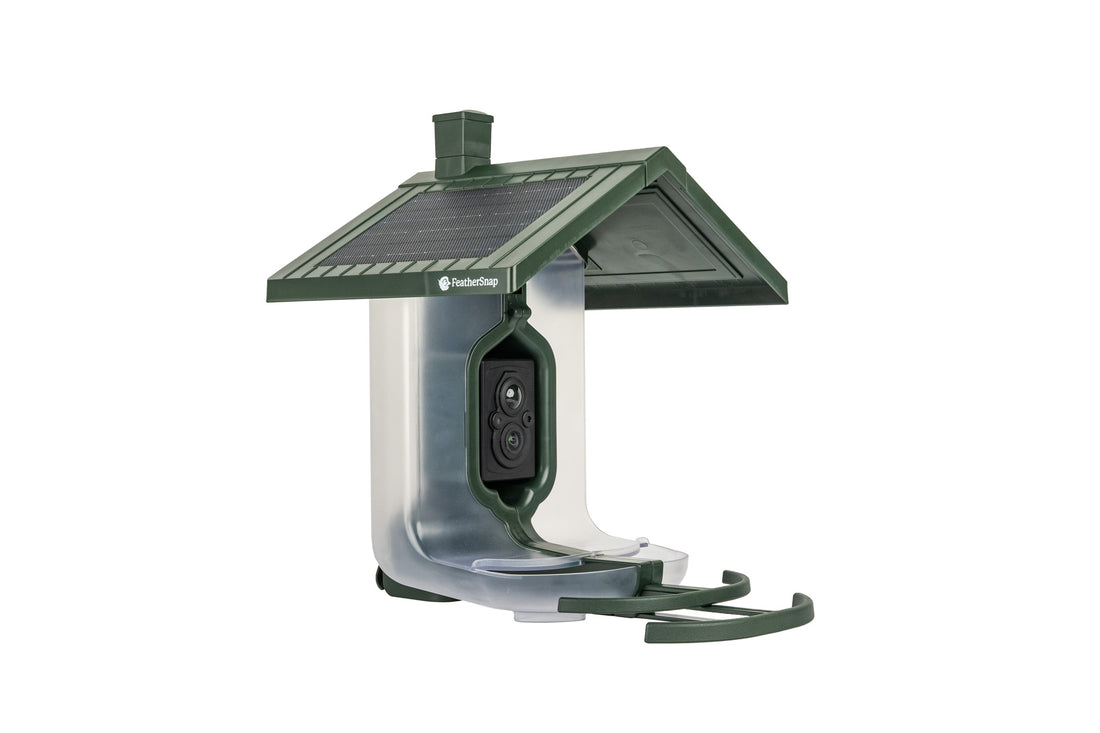 FeatherSnap Scout – Wi-Fi Solar Powered Smart Bird Feeder