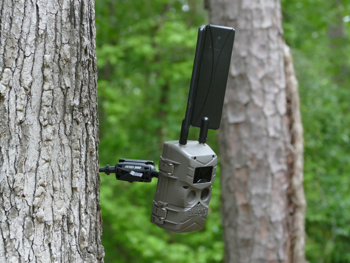 Tree Mount for Trail Camera Dual Ball Swivel